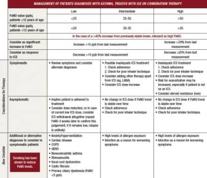 FeNO Testing Enhances Asthma Diagnosis, Management | RT
