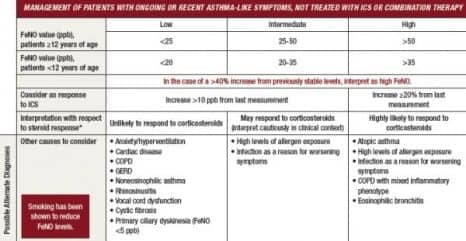 FeNO Testing Enhances Asthma Diagnosis, Management | RT