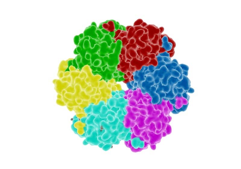Mutated Cystic Fibrosis Protein Interacts in Damaging Ways