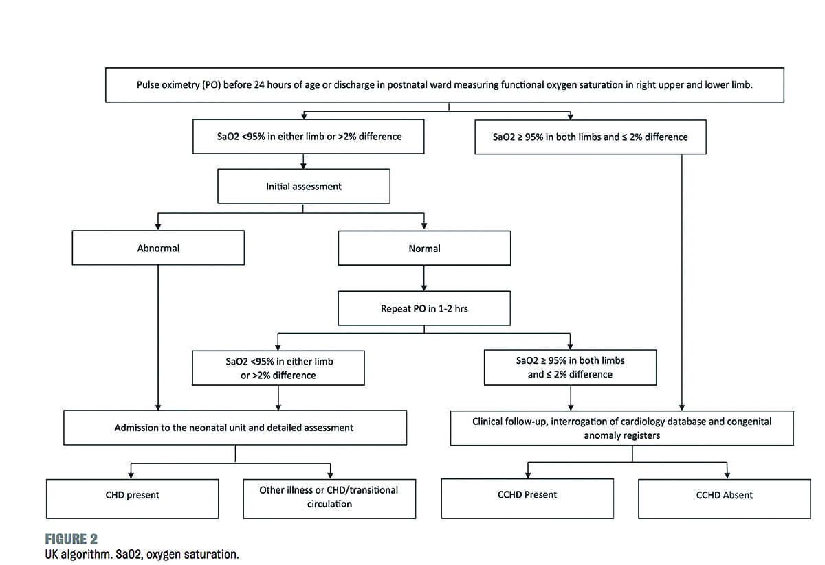 Pediatric Monitoring: Using the Right Algorithms | RT