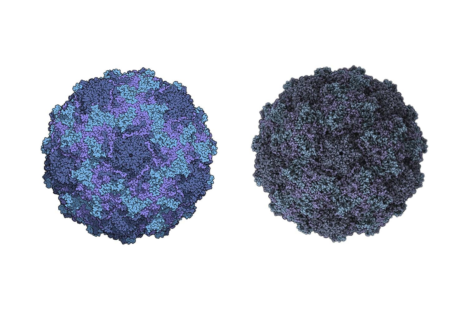 FDA Clears Biofire Spotfire Respiratory/Sore Throat Panel Mini | RT
