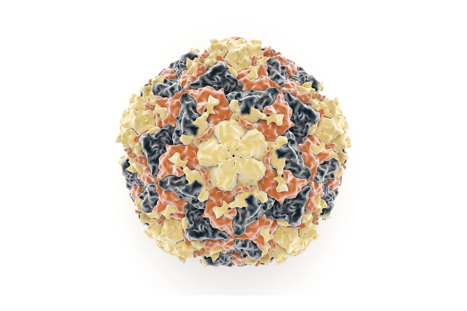 Rhinovirus Confirmed as a Cause of Adult Pneumonia | RT