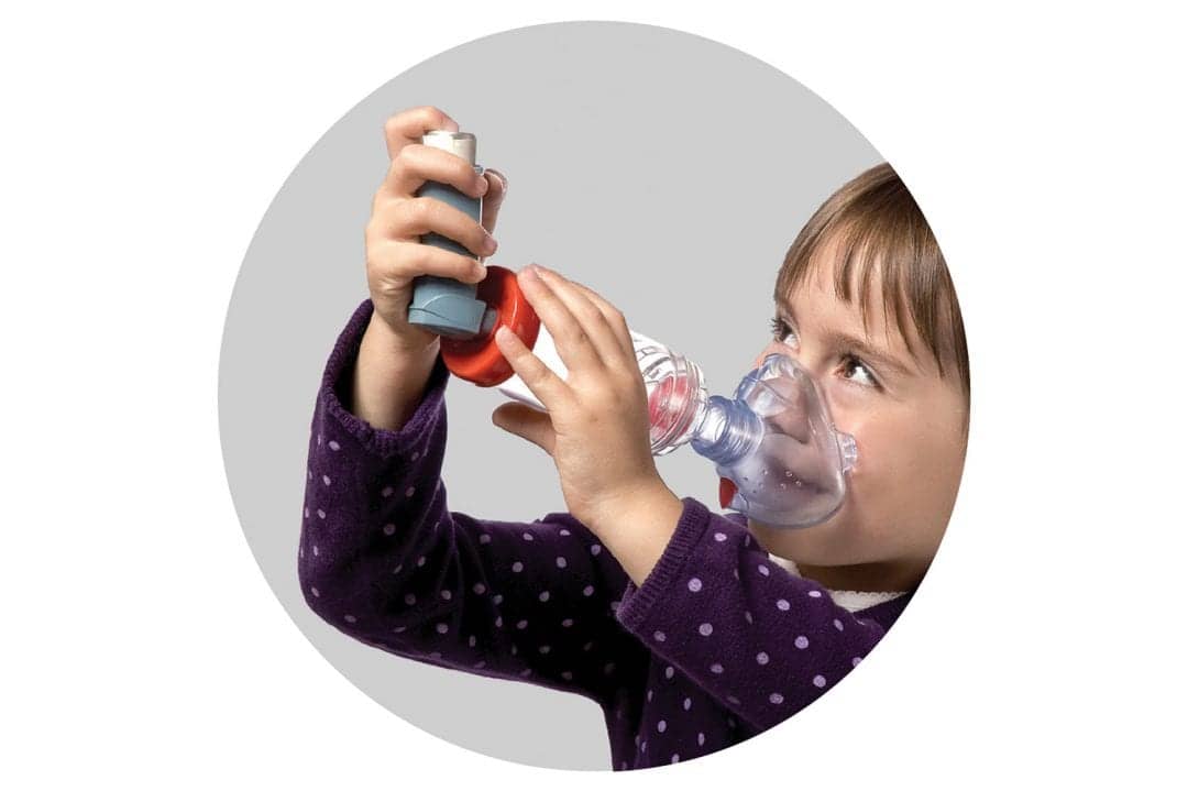 Products 2019: Aerosol Delivery | RT