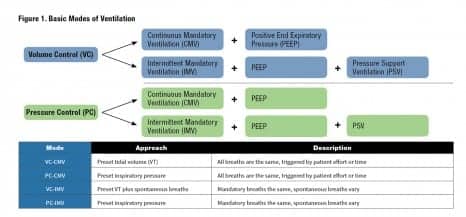 Understanding Ventilator Basics and Ventilator Waveforms | RT