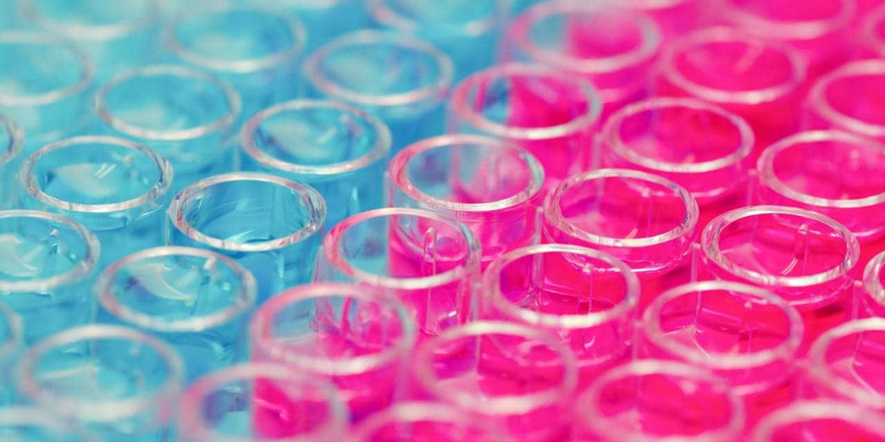 FDA Emergency Use Granted to Biofire COVID-19 Test | Respiratory Therapy