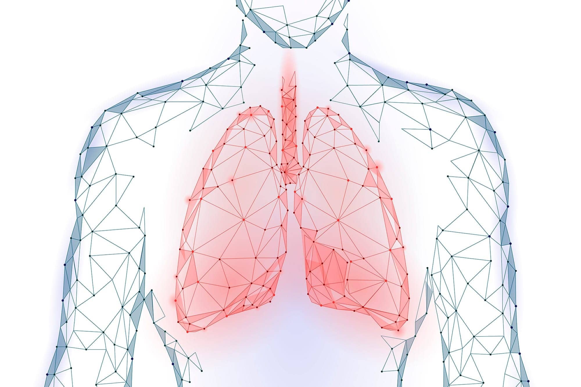 Scientists Obtain Grant for Lung Transplant Risk-modeling | Respiratory ...