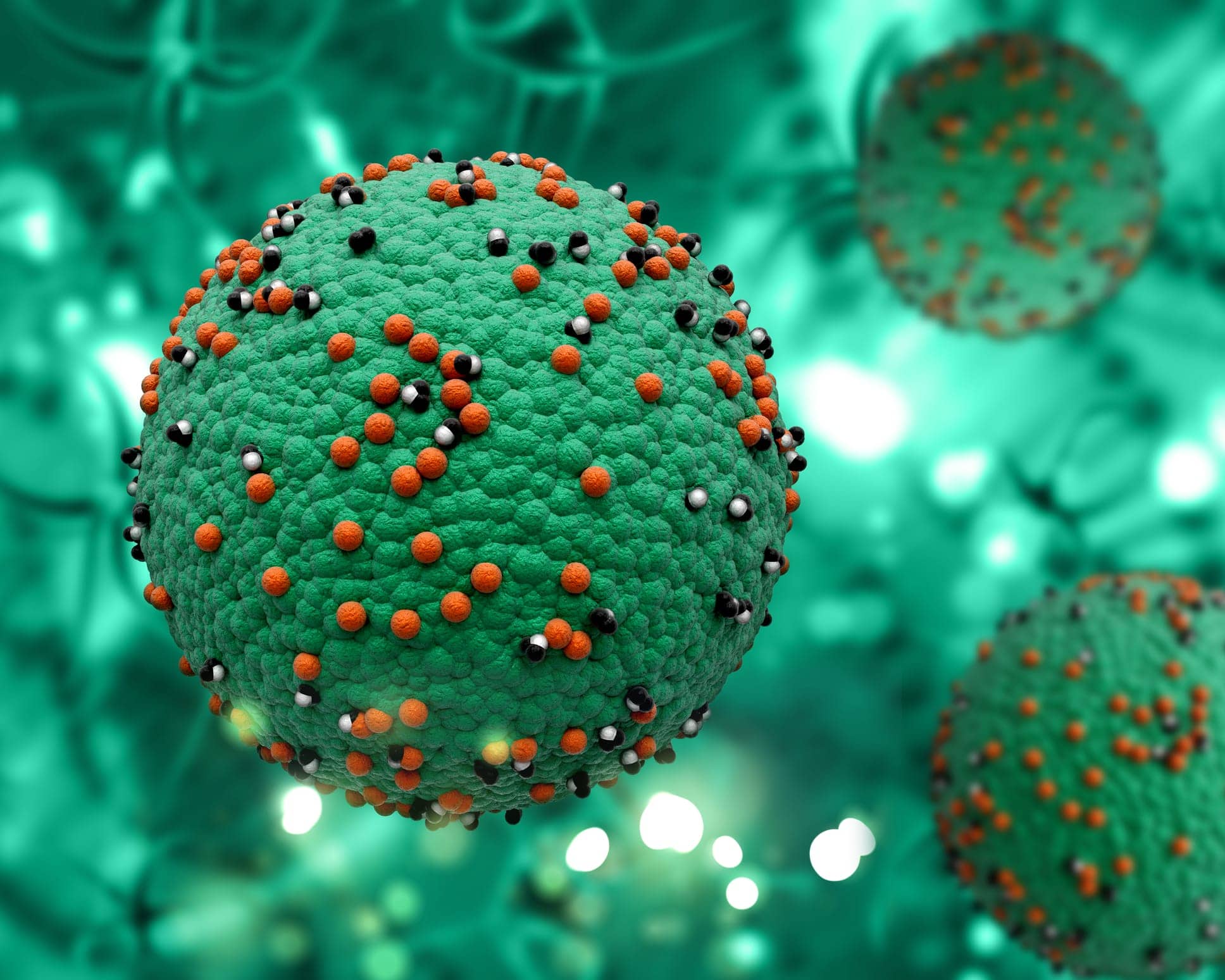 Measles Virus 3d Model Measles Virus » Viruses » Pathogen Profile