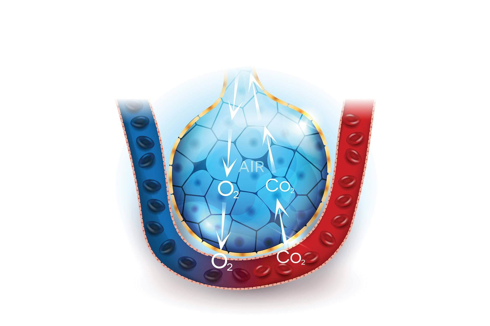 The Utility of DLCO Testing in COVID-19 Patients | Respiratory Therapy