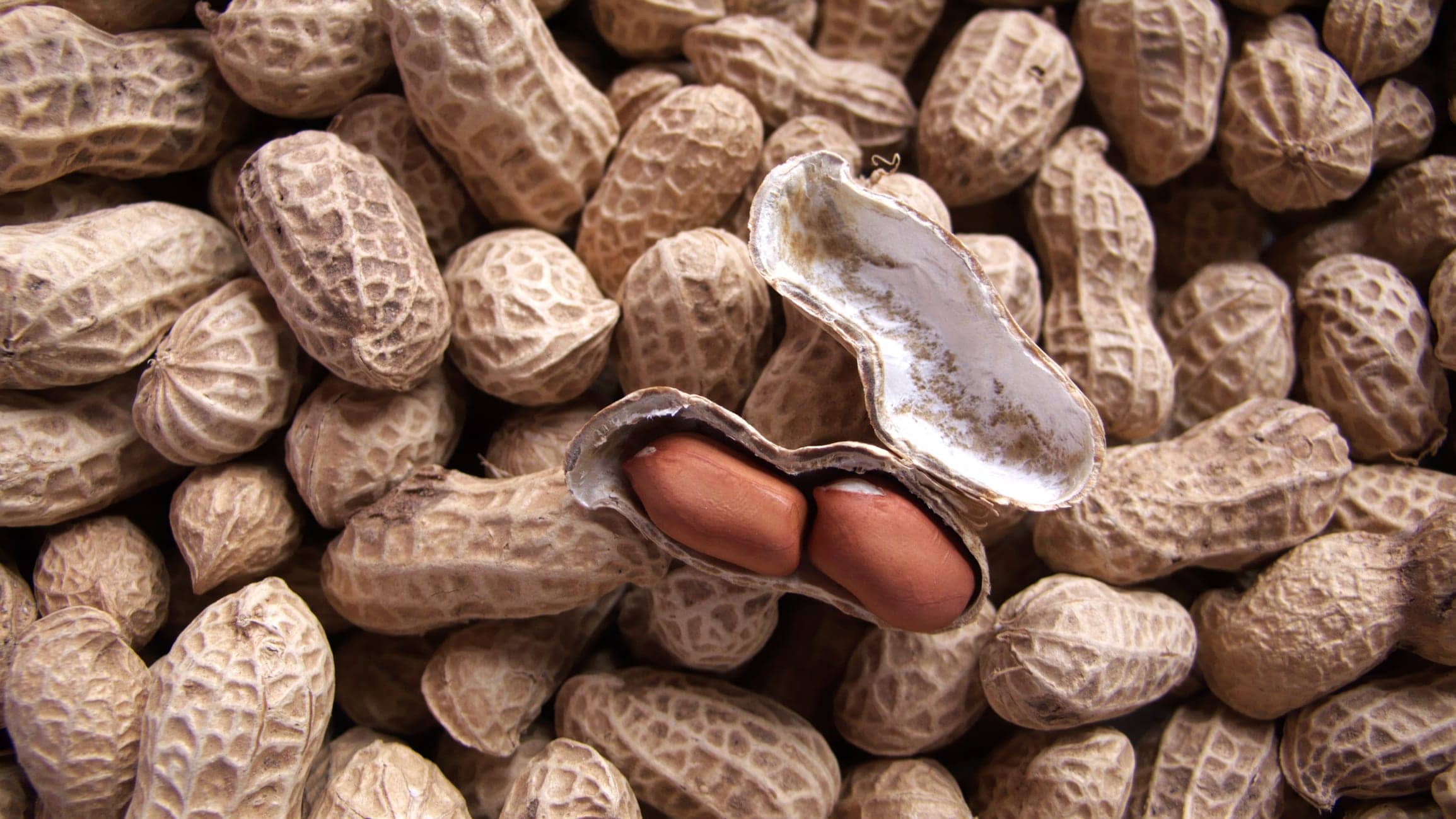 Researchers Discover Way to Block Peanut Allergy Anaphylaxis