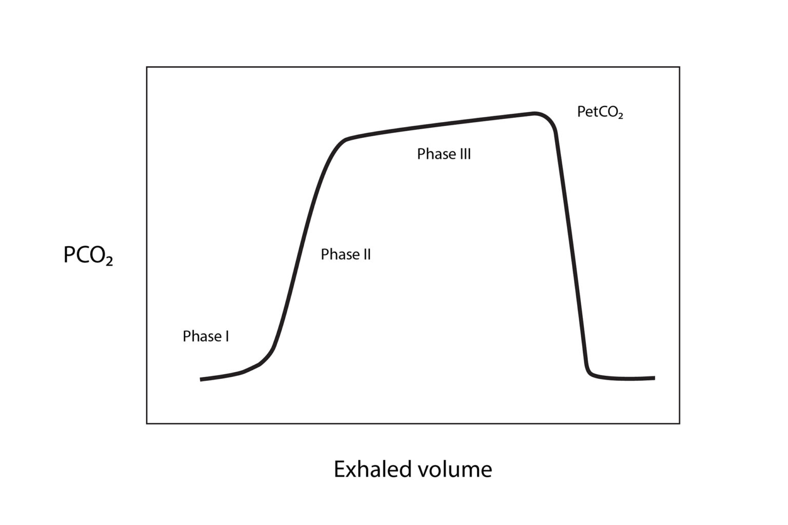 Capnography and Pulse Oximetry in the PICU | Respiratory Therapy