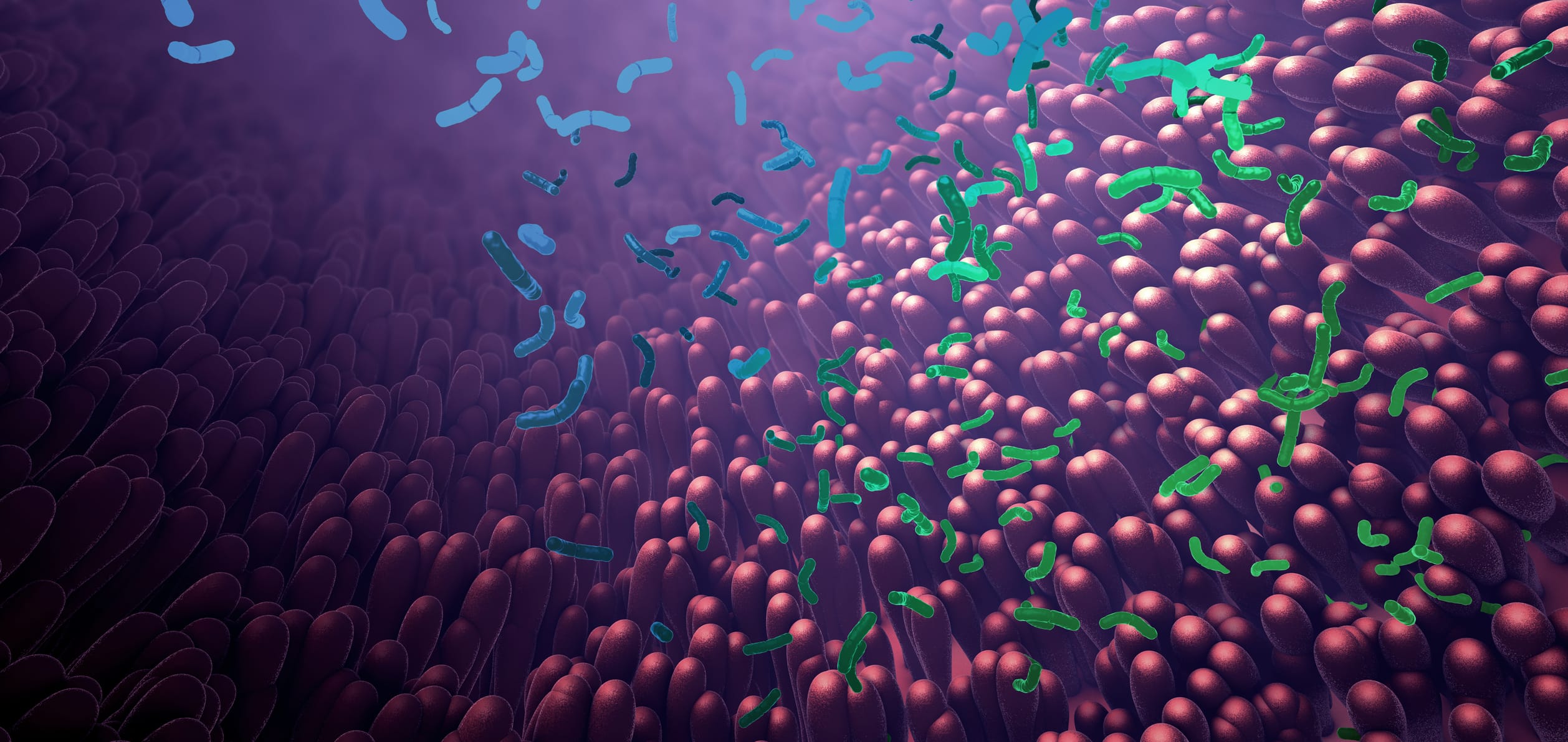Gut Microbiota Influence Severity of Viral Infections | Respiratory Therapy