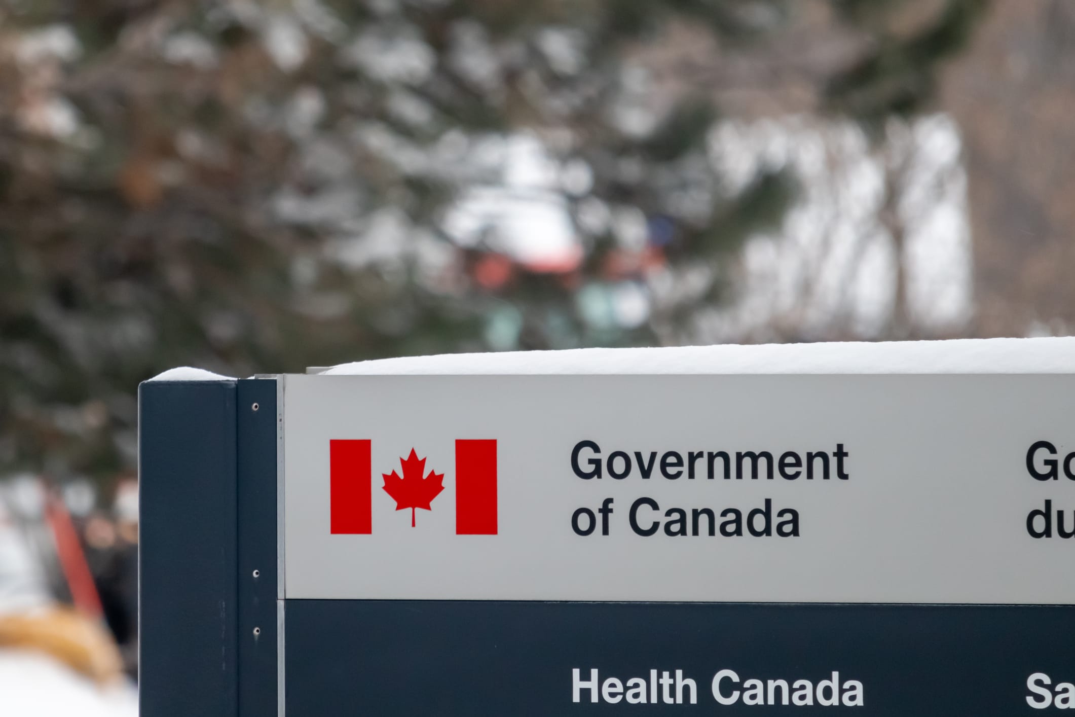 Canada Approves Pfizer's RSV Vaccine | Respiratory Therapy