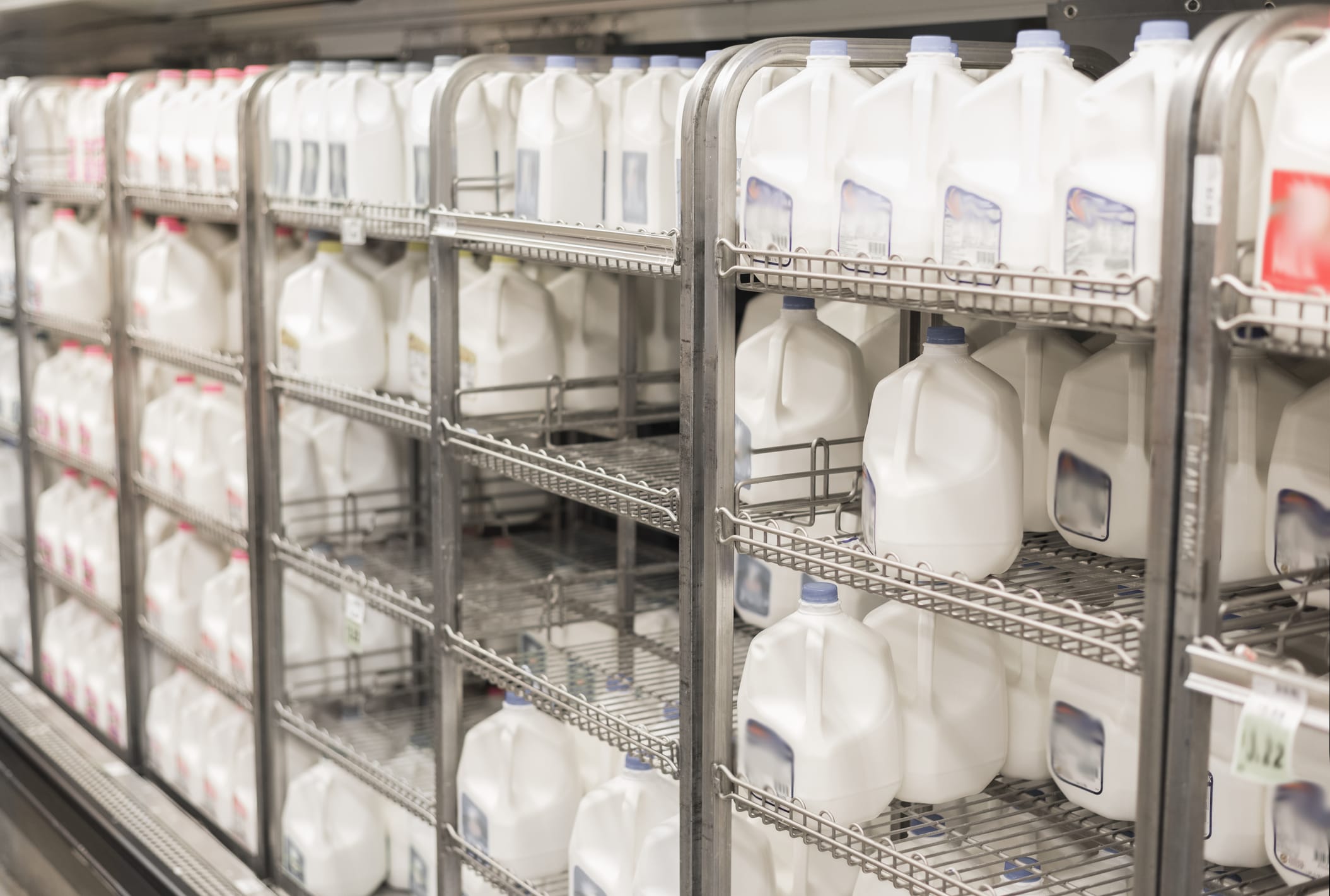 1 in 5 Grocery Store Milk Samples Test Positive for Bird Flu ...