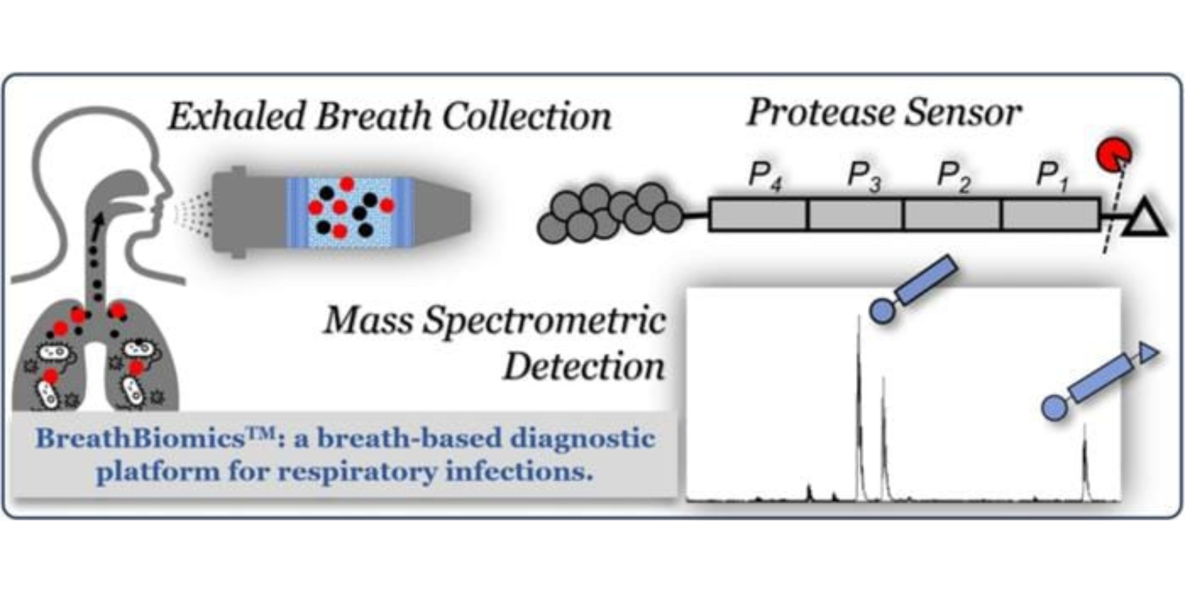 Breath-Based Device to Diagnose Lower Respiratory Tract Infections ...