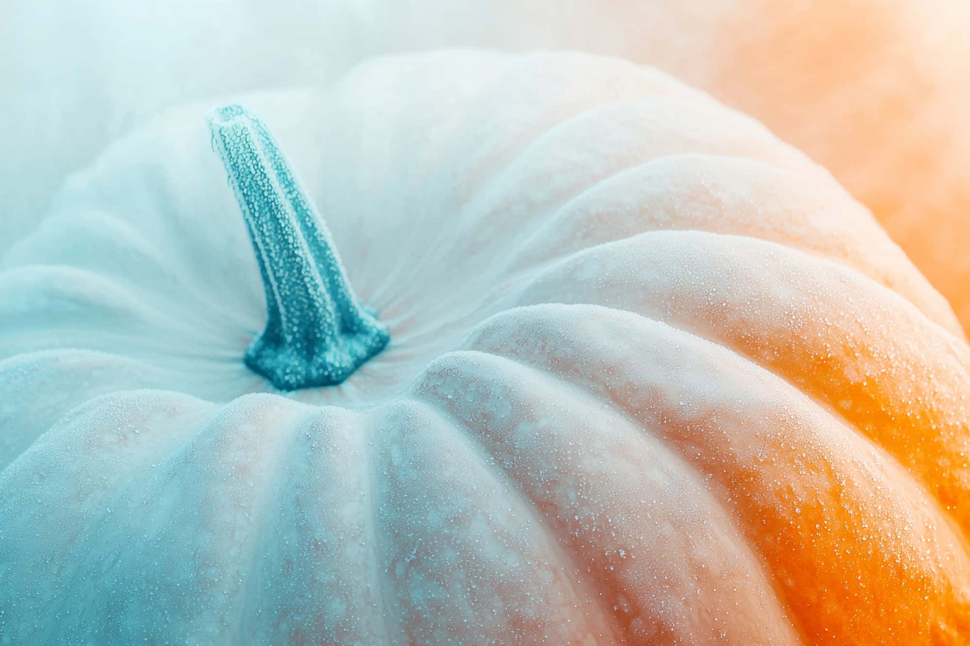Teal Pumpkin Project Hopes for an Allergy-free Halloween | RT
