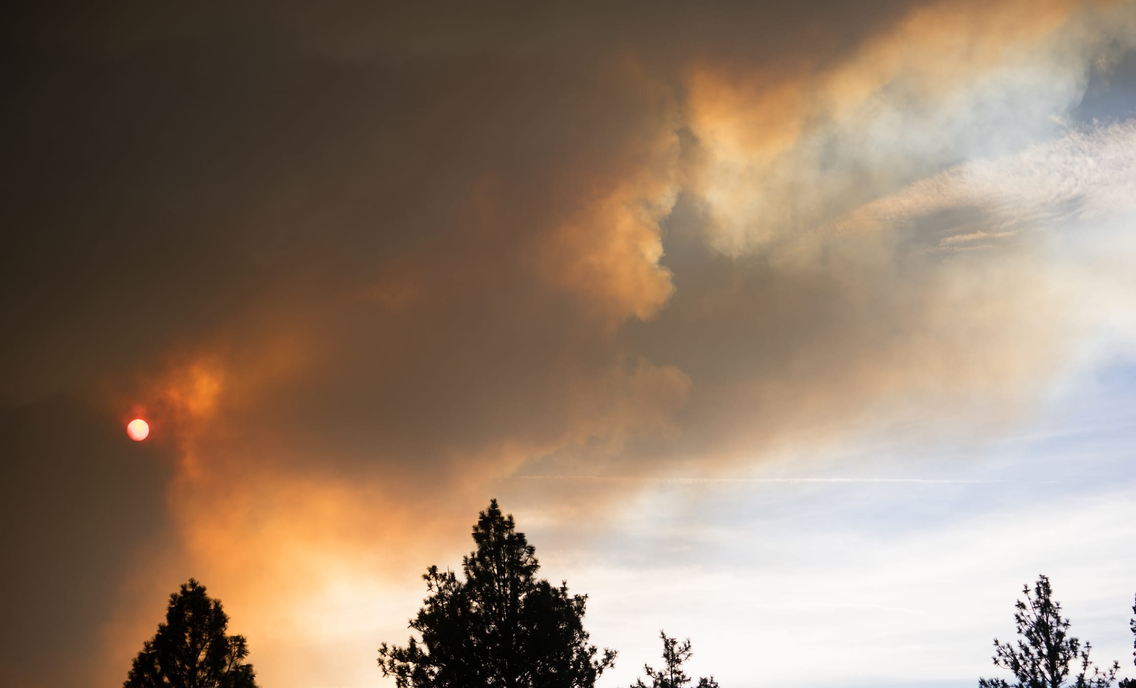 Wildfire Smoke Linked to Surge in Lung and Heart Medical Visits ...