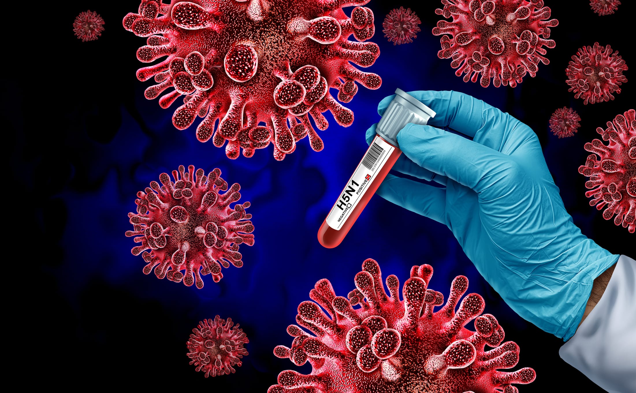 Four Keys to Controlling the Bird Flu Outbreak | Respiratory Therapy