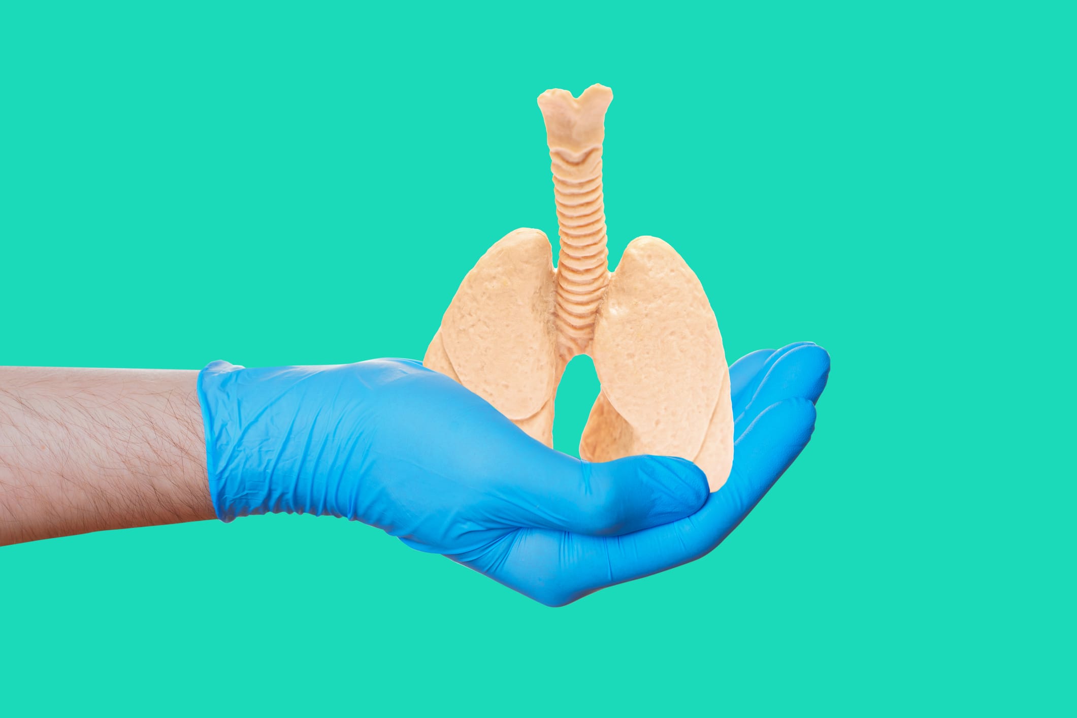 Women Face Barriers to Receiving Lung Transplants | Respiratory Therapy