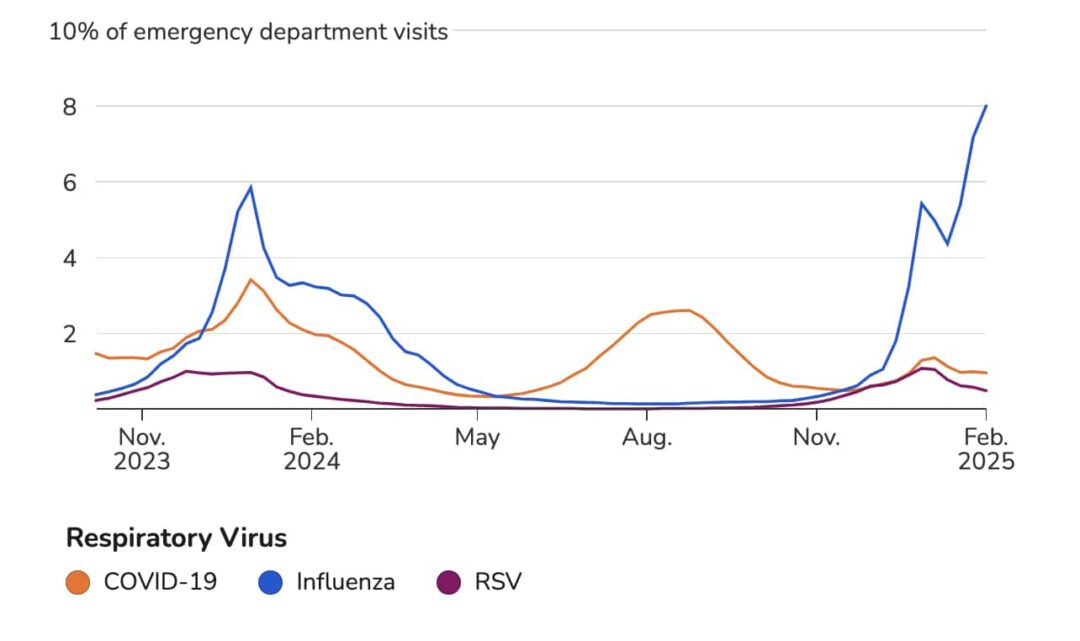 CDC: Highest Influenza Activity in 15 Years | RT