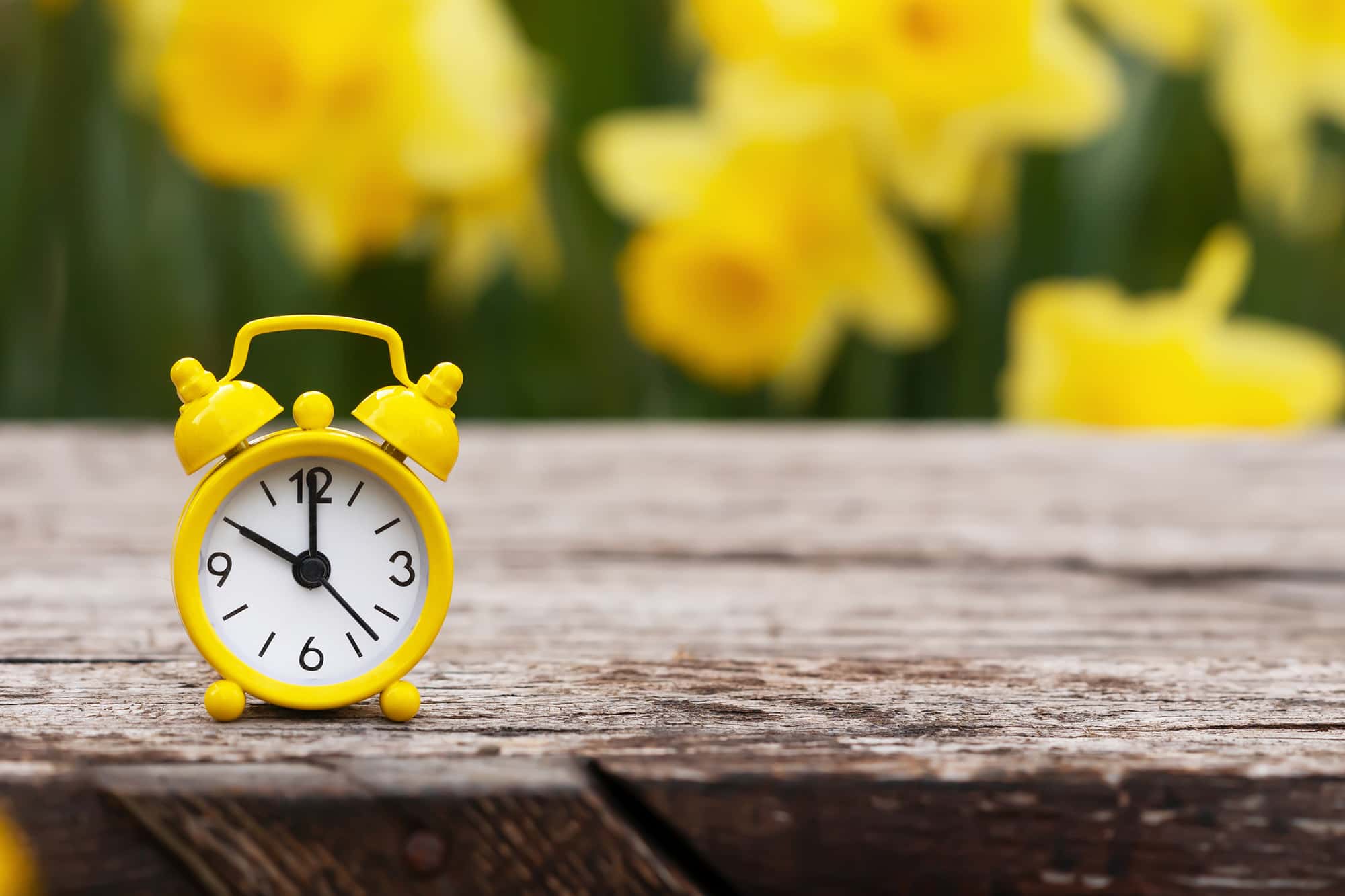 Sleep Experts Call for End to Daylight Saving Time | RT