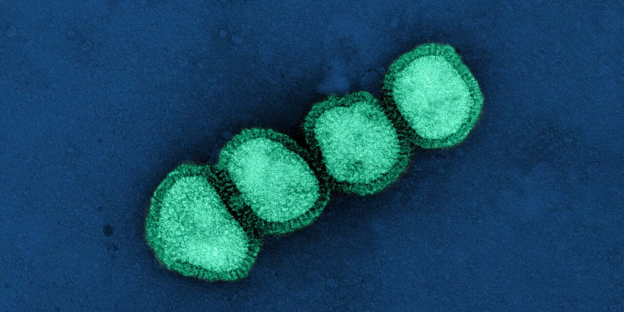 Link Between Influenza and Heart Disease | RT