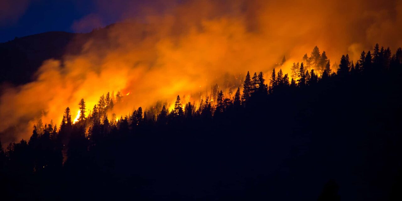 Wildfire Air Pollution Greater Than Previously Estimated | RT
